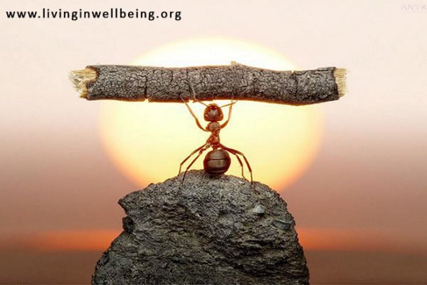 Importance of hard work to attain success in life - Living In Well Being